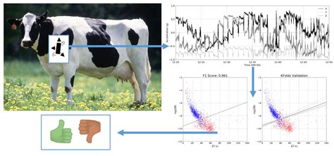 Sensors Free Full Text Identification Of The Rumination In Cattle