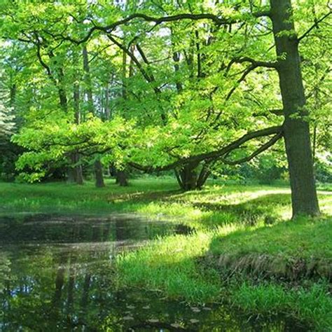 Stream Elements Of Julia By Brian Brazill Listen Online For Free On Soundcloud