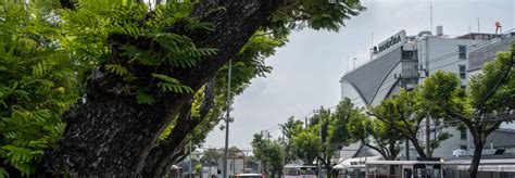 Getting Start Gemopolis