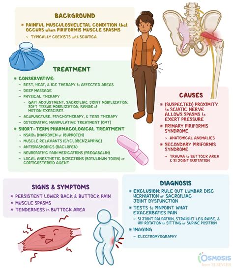 Piriformis Syndrome What Is It Causes Diagnosis And More Osmosis