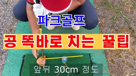 파크골프 공 똑바로 치는 꿀팁 퍼팅 티샷 어프로치샷 똑바로 보내기 파크골프 치는법パークゴルフ Youtube