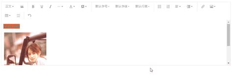 Vue2wangeditor富文本域base64limitsize Csdn博客