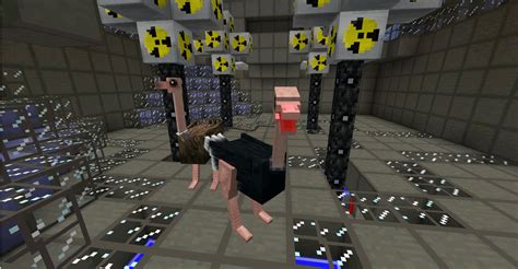Heard Noises Found These In The Reactor Core Minecraft