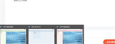Sap Gui使用小技巧主题、颜色更换，让工作多点色彩sap界面颜色更改 Csdn博客