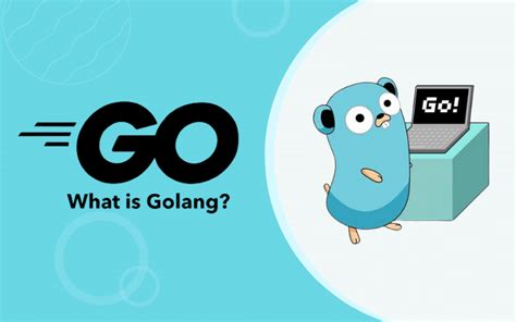 Discover Golang Go