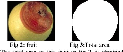 Figure 1 From Automatic Fruit Defect Detection Using Hsv And Rgb Color