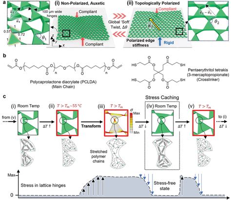 A Ttmm Made From A Shape Memory Polymer Pclda‐smp Capable Of Stress