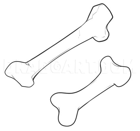 How To Draw A Bone Drawing Step By Step By Dawn DragoArt