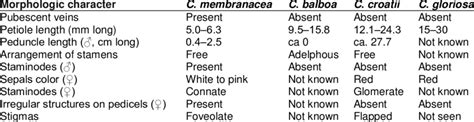 Comparison Between C Membranacea And Its Related Species Download