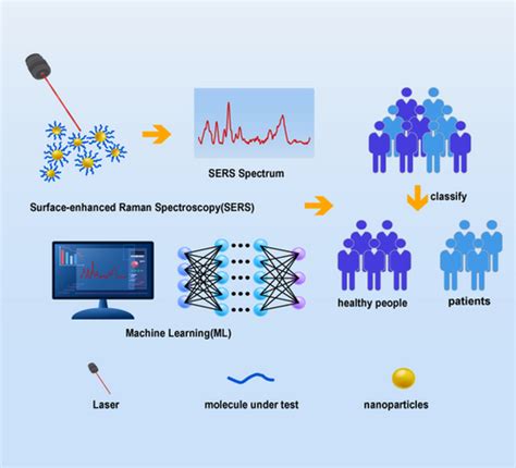 Sers‐based Biosensors Combined With Machine Learning For Medical Application Ding 2023