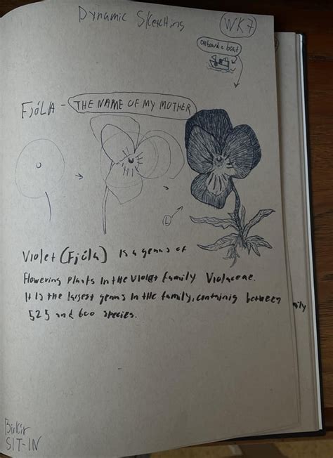 Finished My First 8 Weeks Of Dynamic Sketching Class By Peter Han Was
