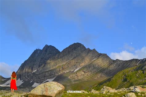 რაჭის ერთ ერთი მშვენება 🐑😍 Green Zebra • მწვანე ზებრა