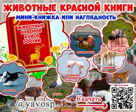 Животные Красной книги России скачать и распечатать