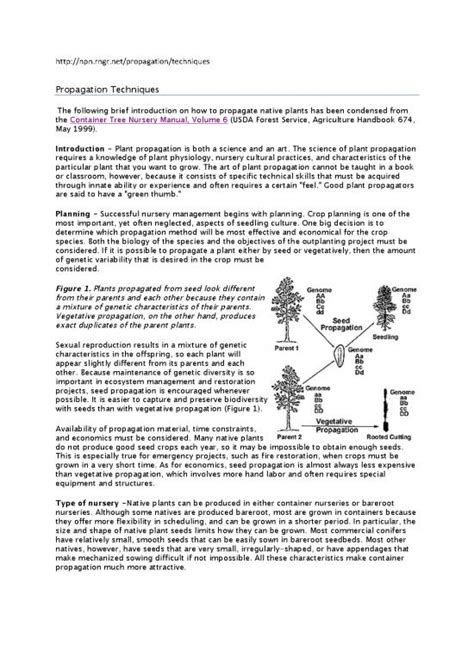 Art Therapy Pdf 88725 Propagation Techniques Art Therapy Pdf 88725 Propagation Techniques