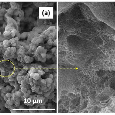 Sem Micrographs Of The As Prepared Sio2 Stabilised Zro2 Nanospheres A