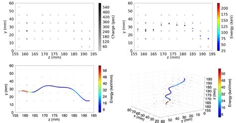 Example Of 137 Cs Track Reconstruction The Charge Of The Different