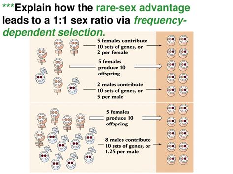 Ppt Next Weeks Lab Stream Ecology Powerpoint Presentation Free Download Id 1073200