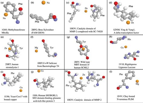 Bajpai Lab Publications