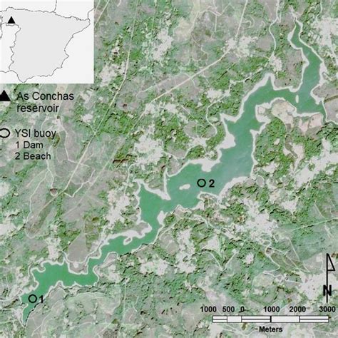 Comparison Of Various Input Aggregation And Output Aggregation Methods Download Scientific