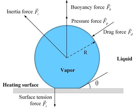 Schematic Diagram Of Bubble Force Analysis Download Scientific Diagram
