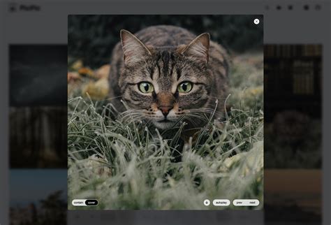 A Pictures Bed Driving By Github Pages And Github Actions Rprogramming