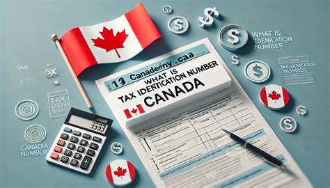 What Is a Tax Identification Number in Canada? | Complete Guide to TINs