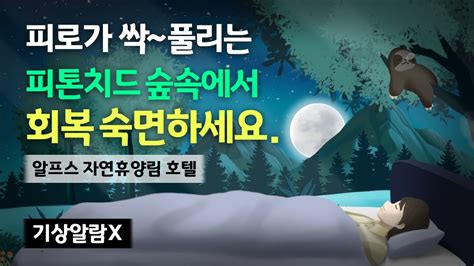 🌳😌 오늘 밤 당신의 천연 회복 수면제 피톤치드 숲 백색소음과 몽환적 수면음악 알프스 자연휴양림 호텔에서의 6시간 숙면여행 [기상알람 없음] Youtube