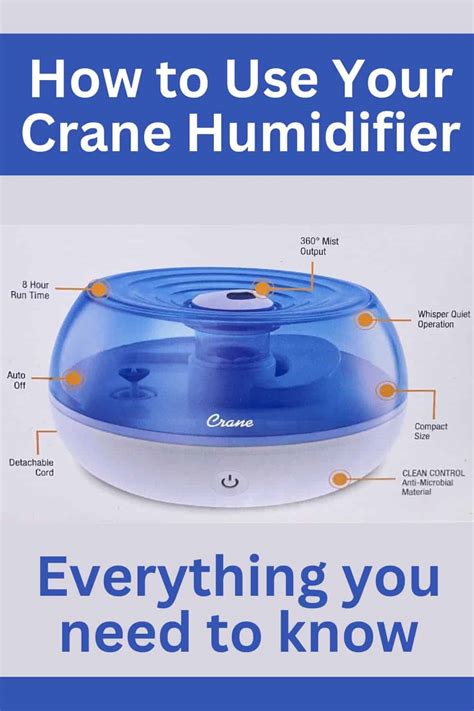 Humidifiers How To Use At Amanda Okane Blog