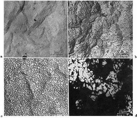A To C Surface Structure As Seen With Replicas And D Transmission Download Scientific