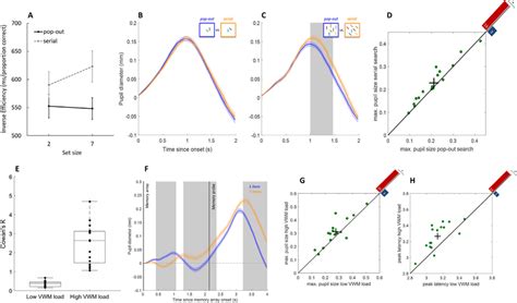 behavioral performance and pupil traces in experiment 2 a inverse