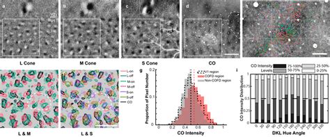 spatial relationship between cofds and co blobs a c l a m b and