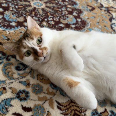 Miya Maze On Twitter Did You Look Https T Co U Onixn M Twitter