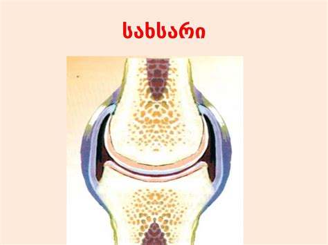საყრდენ მამოძრავებელი სისტემა Calameo Downloader