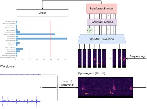 Automatic Bat Call Classification Using Transformer Networks Paper And Code Catalyzex Automatic Bat Call Classification Using Transformer Networks Paper And Code Catalyzex