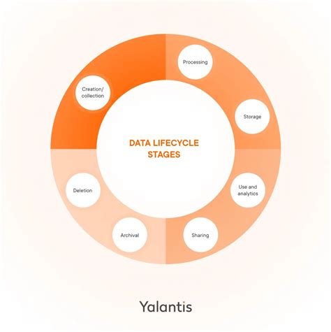 Data Lifecycle Management Strategies And Best Practices