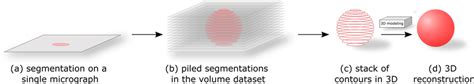 The Figure Depicts The 3d Reconstruction Of A Spherical Object In A
