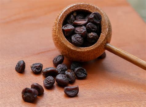 Hạt Dổi Là Gì Một Số Tác Dụng Của Hạt Dổi Và Lưu ý Khi Dùng