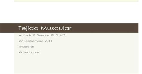 Curso Histologia 04 Tejido Muscular Pdf Document