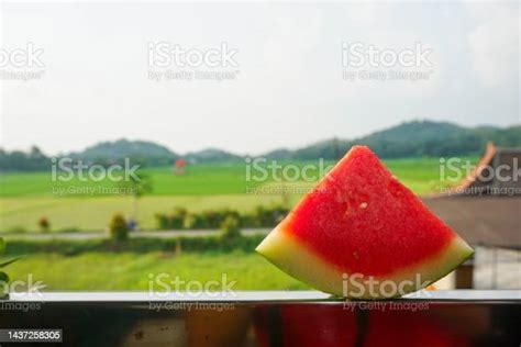 발코니 가장자리에 신선하고 맛있는 수박 한 조각의 선택적 초점 샷 0명에 대한 스톡 사진 및 기타 이미지 0명 건강한 식생활 과일 Istock