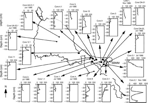 Total Mercury Tothg Mgkg ¼ Ppm Dry Mass In Shallow Historic