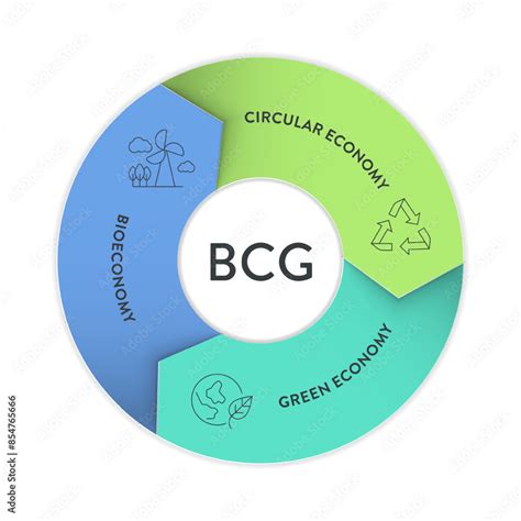 Bcg Model Strategy Infographic Diagram Chart Banner Template For Presentation Has Bio Economy