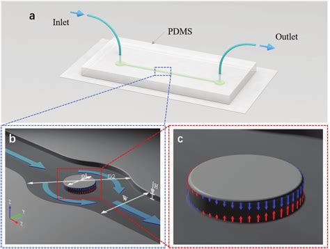 A Schematic Of The Microfluidic Device Employed In This Study B