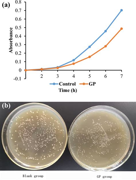 e coli growth curve a e coli culture b download scientific diagram