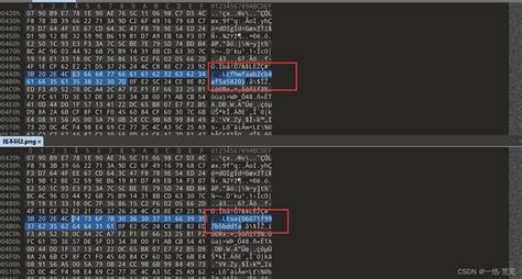 【ctfshow Misc赛题】ctfshow杂项签到 Csdn博客