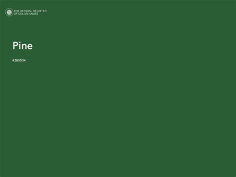 Pine Color 2b5d34 The Official Register Of Color Names