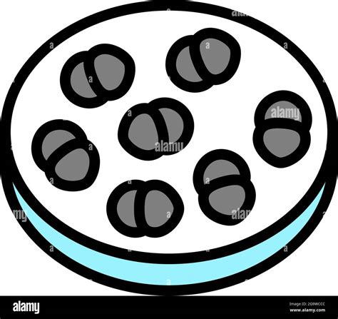 Enterococcus Infection Color Icon Vector Illustration Stock Vector