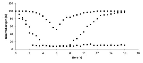 Effect Of Agitation Speed On Dissolved Oxygen Concentration ¨ 250 Rpm