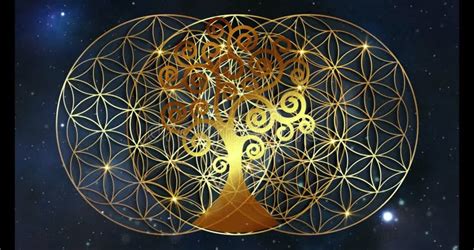 Flower Of Life And Tree Of Life Animated Symbol Of Sacred Geometry For