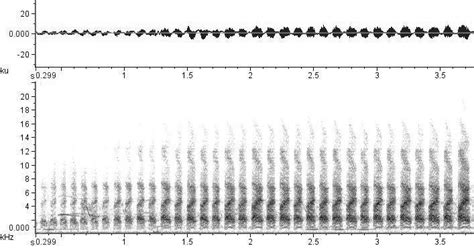 Spectrogram And Waveform Views Of Atonal Chatter Calls Spectrogram