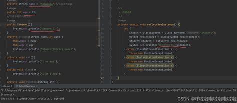 反射、枚举以及lambda表达式 Javalamdba表达式反射 Csdn博客